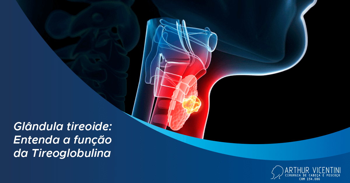 Qual A Função Da Glandula Tireoide - FDPLEARN