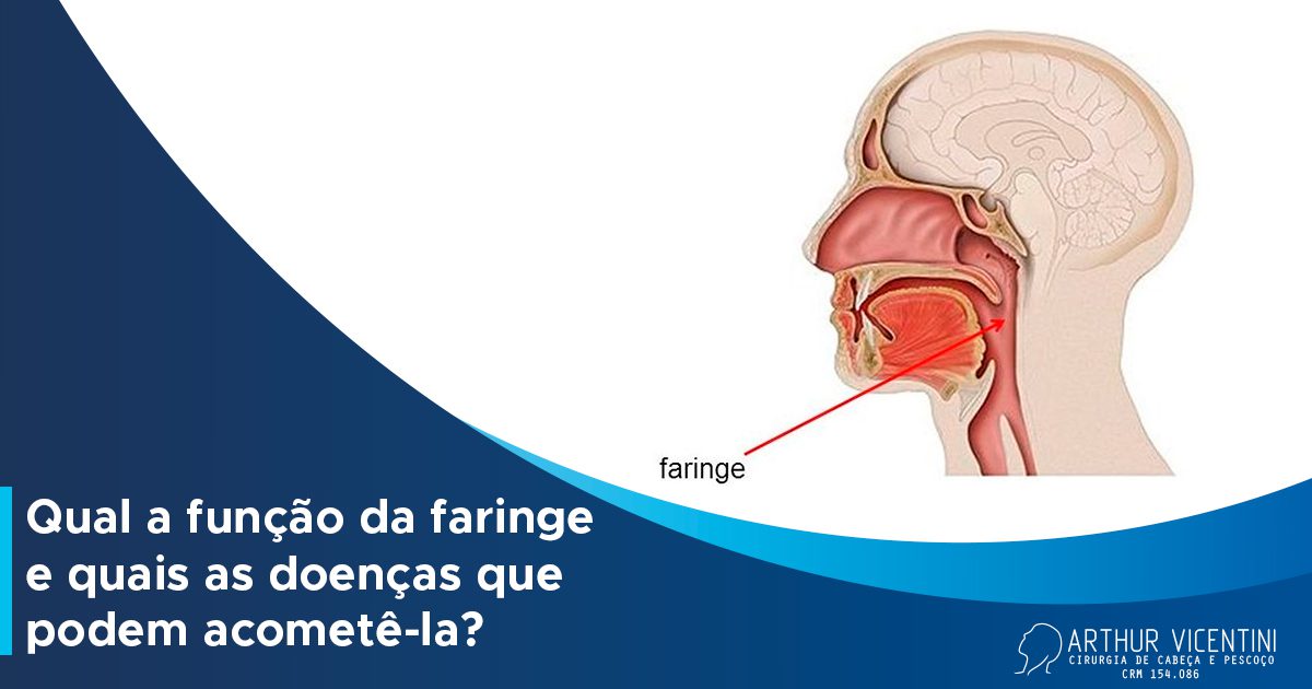 Qual A Função Da Faringe E Quais As Doenças Que Podem Acometê-la? - Dr ...